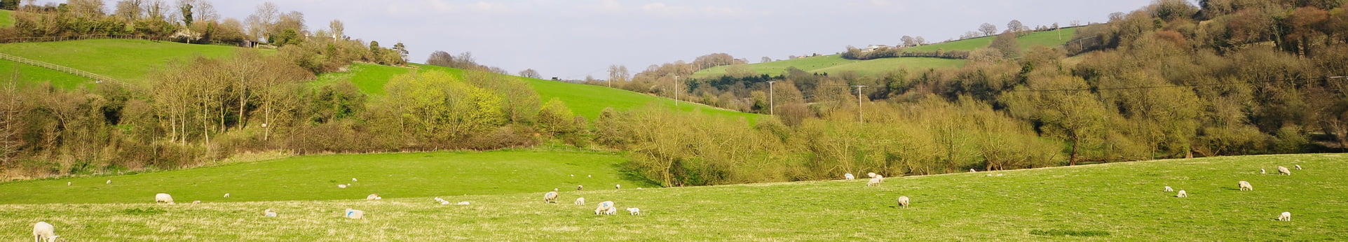 All About You - Michael Chettle Financial Planning